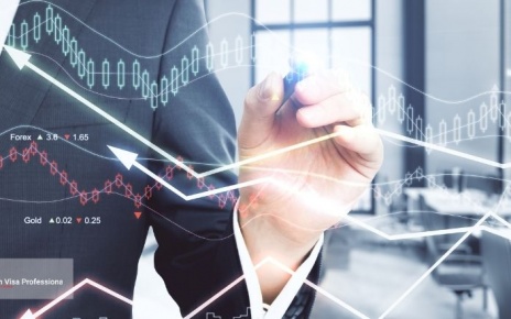 Canadian Visa Professionals - An Overview On Canada’s Immigration System